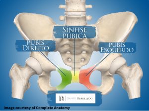 Pubalgia tem cura? Tudo sobre os Sintomas e Tratamento (2020) | Blog ...