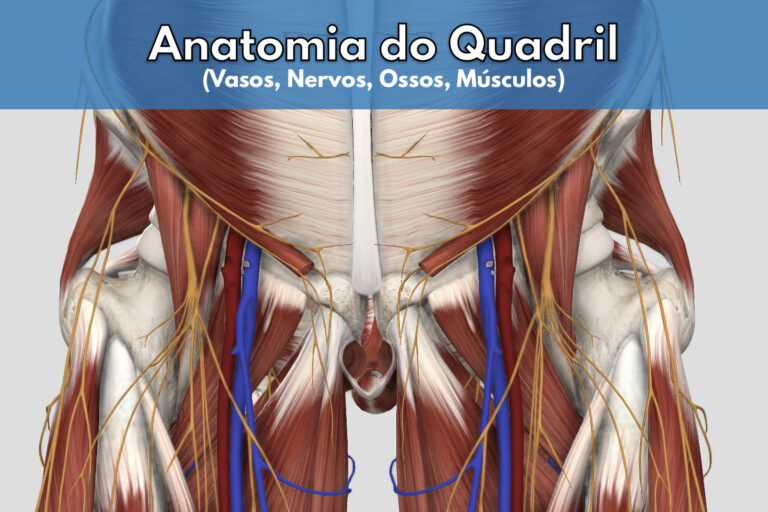 Tumor no Quadril. O que pode ser? | Blog | Dr. Daniel Rebolledo